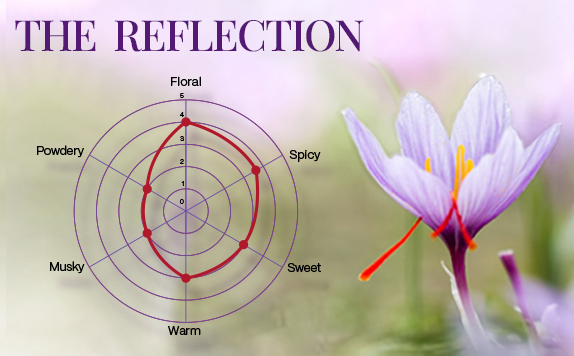 Saffron Flavour: The Golden Elixir of Culinary Excellence - Keva ...