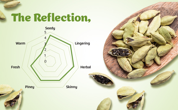 Cardamom: The Flavour Of Elegance